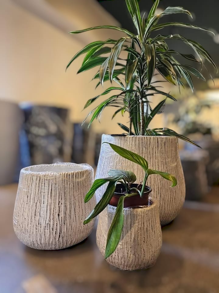 Fibreglass Planter 25×19 FC050C White Striped – Kyoto Ltd Mauritius